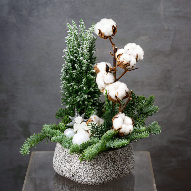 Aranjament Craciun cu bradut in ghiveci | IMOD Flowers